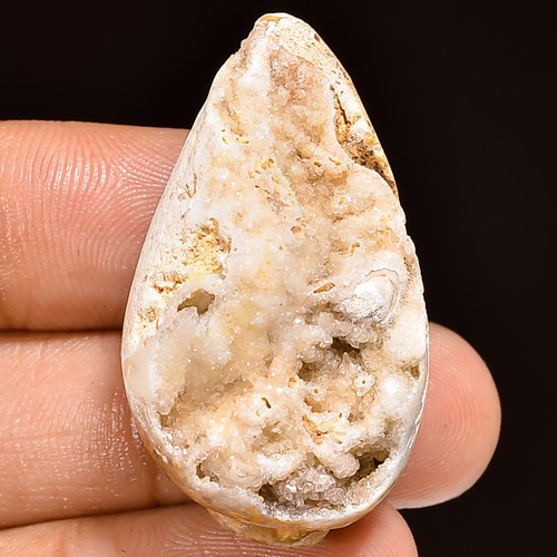 Natural Snail Shell Fancy Shape Cabochon Gemstone 67.5 Ct. 37X20X16 mm ...