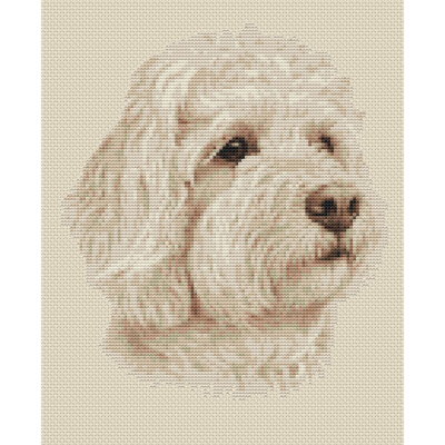 Cockapoo,Light (Sepia) Cross Stitch Design (kit or chart) | eBay UK