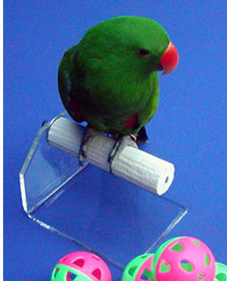 Parrot Bird Portable Small Perch good for weighing your bird on a Scale ...