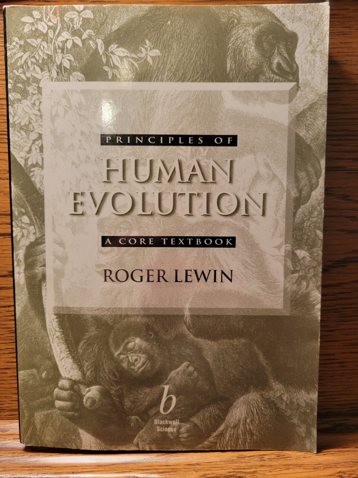 Principles of Human Evolution A Core Textbook by Roger Lewin 1997 Tradepaperback 9780865425422 ...