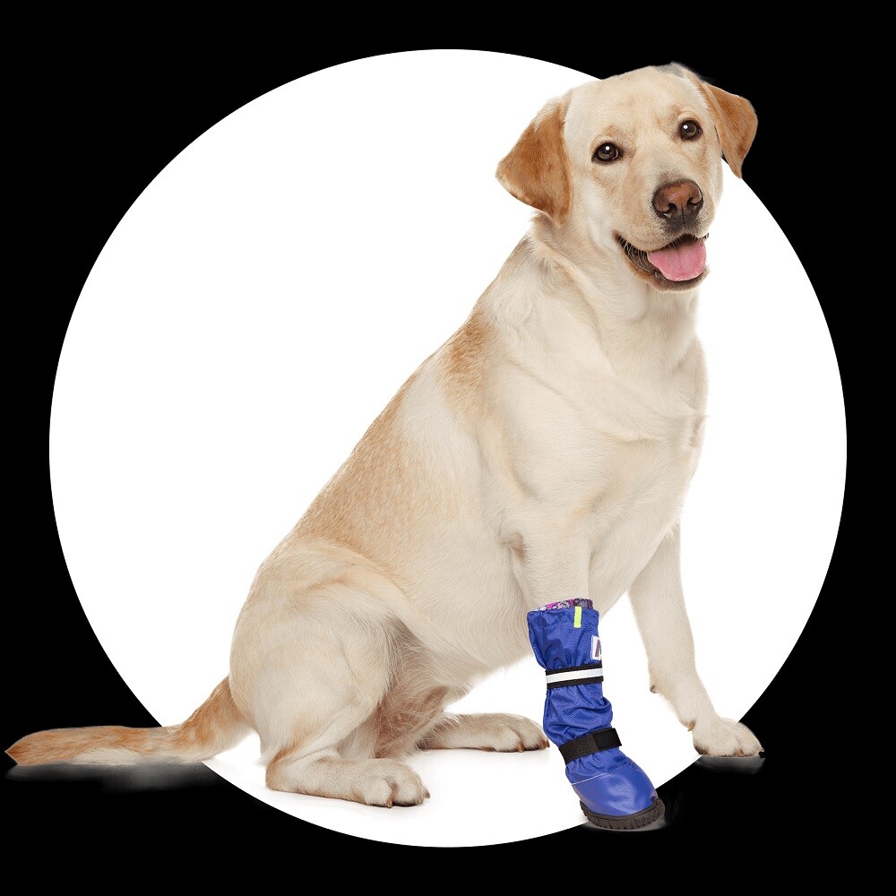 MPS Medical Dog Boot Post Operation or Injury Next Day Delivery | eBay UK