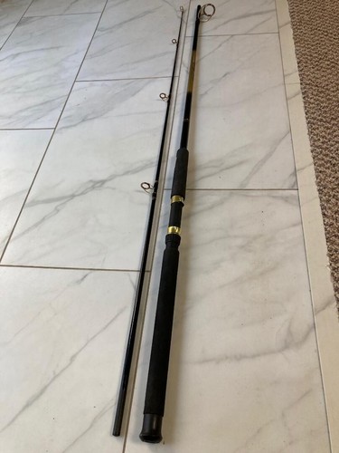 Master Spectra Graphite Composite 8 FT Model 3200 2 pc spinning rod | eBay