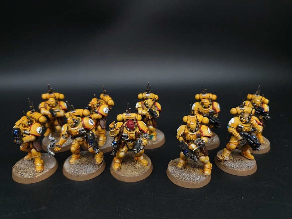 Warhammer 40k space marine Vanguard Phobos Army pro painted Imperial ...