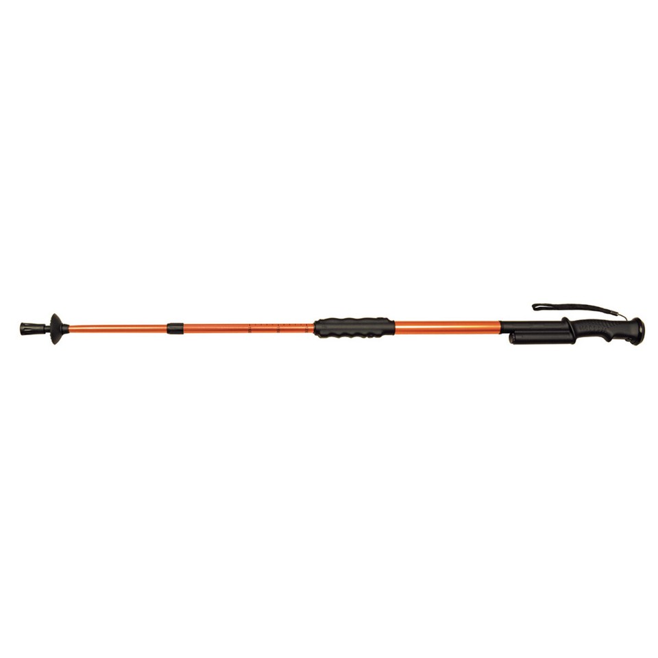ZAP Hike 'n Strike Stun Gun Walking Hiking Stick with Flashlight ...