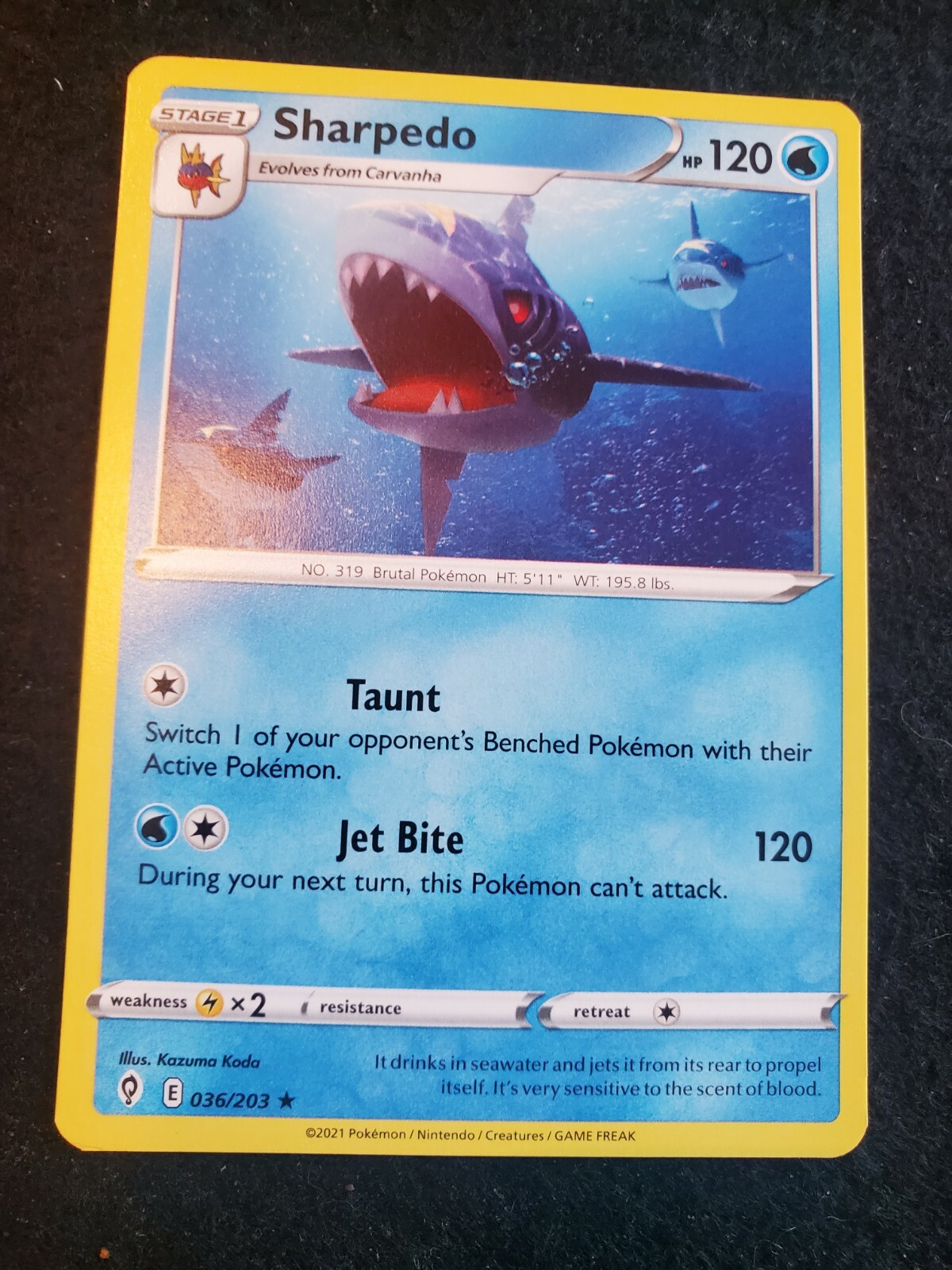 Sharpedo - 36/203 - Evolving Skies - Rare - Pokemon TCG Card - NM | eBay