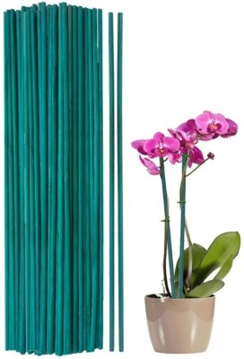 Green Flower Sticks Bamboo Split Garden Canes Plant Support 12" 18" 24 ...
