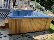 Sundance Spa and Hot Tub Sentry 750/850 System With Control Panel for ...