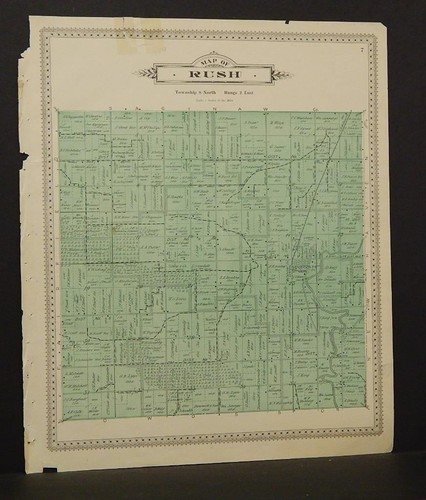 Michigan Shiawassee County Map Rush Township 1895 !J8#98 | eBay
