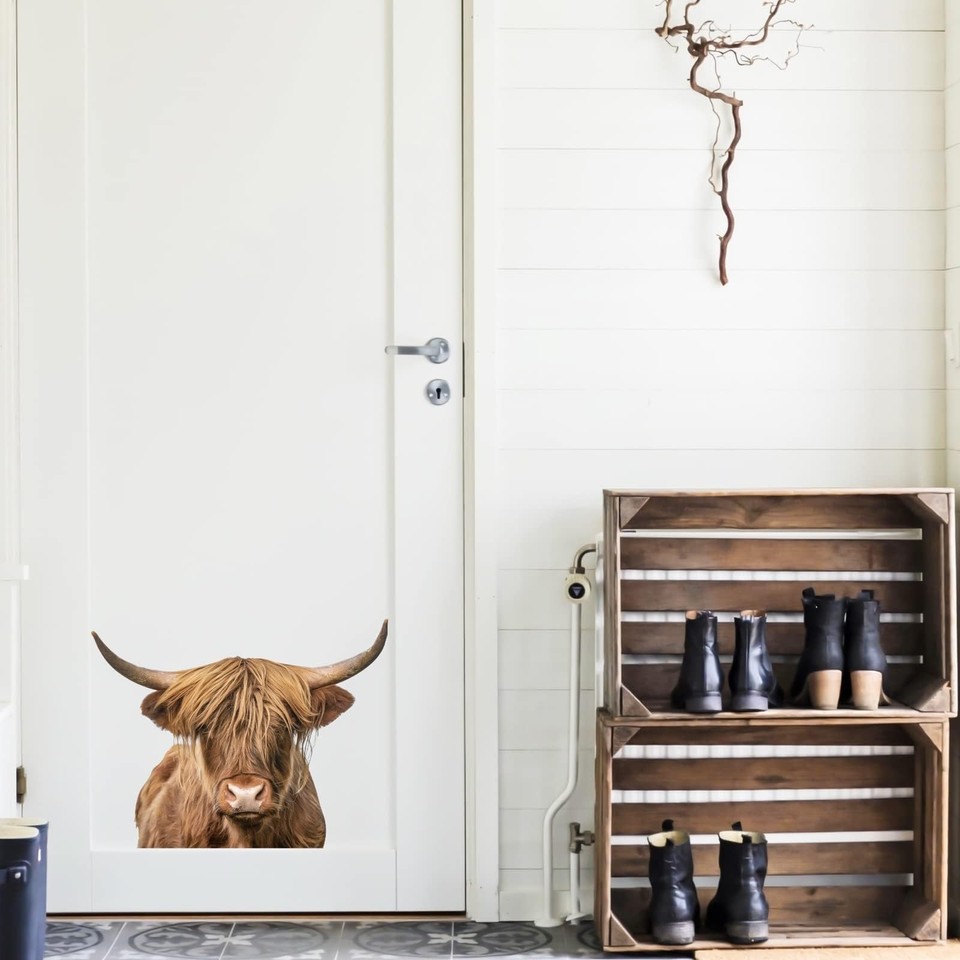 Highland Cow Window Decal,Scottish Cow Wall Sticker,Weird Stuff Wall ...