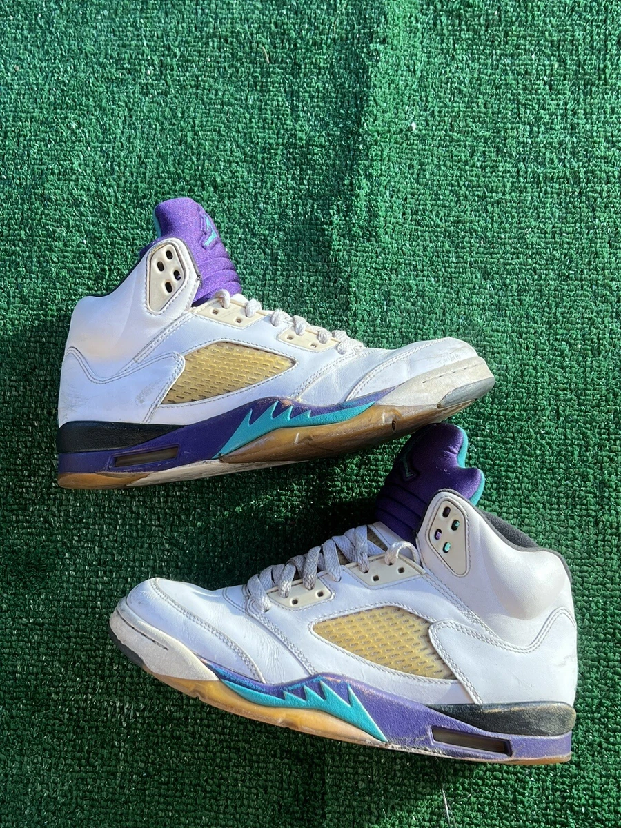 Nike Air Jordan 5 Grape
