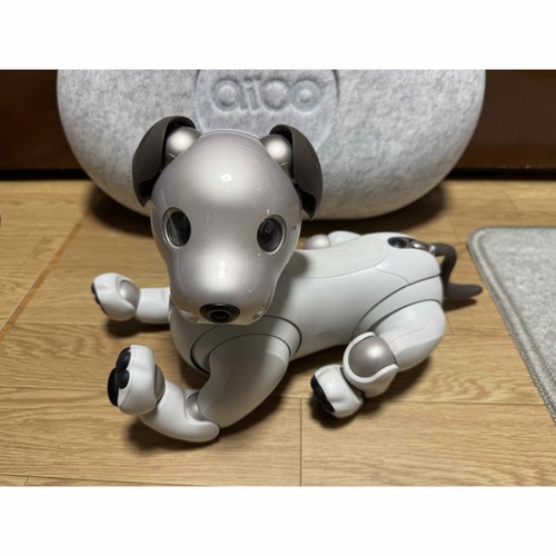 Sony AIBO ERS-1000 Robot Dog Ivory White AI Pet Robotic Dog Tested JP ...