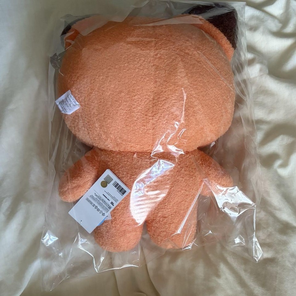 Zeroni Tunini MetYu Flat Plush Doll ZB1 ZEROBASEONE Zeroni Hanini ...