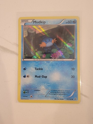 Mudkip 2015 Pokémon card - Primal Clash HOLO - 33/160 - LP | eBay