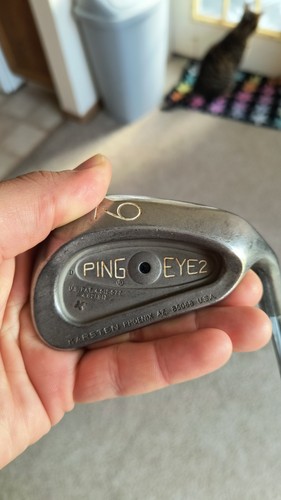 Ping Eye 2 Black Dot Irons 3,4,5,6,8,9 & W Steel Shafts Right Hand Golf ...