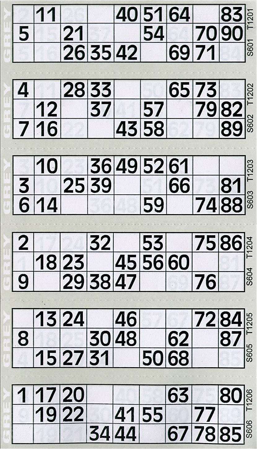 [Set of 5] 6 to View Padded Bingo Ticket Book - 21 x 12cm 600 Tickets ...