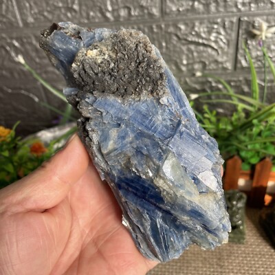 642g Rare Blue Crystal Natural Kyanite Rough Gem stone Specimen Healing ...