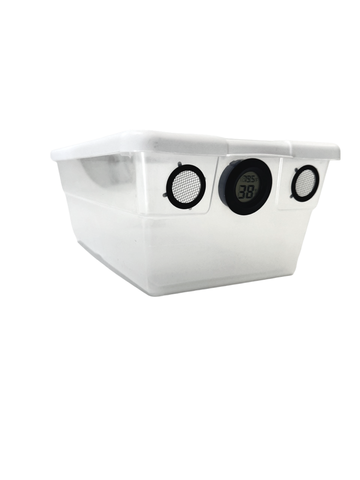 Vented Vivarium 6 Qt Hygrometer Isopod Terrarium Reptile Enclosure ...