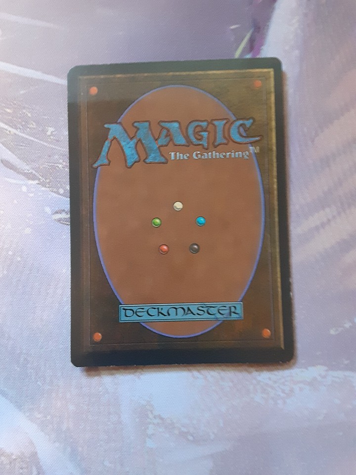 MTG Didgeridoo Homelands Regular Rare | eBay