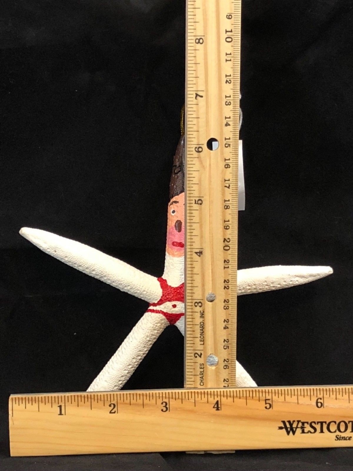 Starfish Wearing Red Bikini Brown Swim Cap Hand Painted Ornament New ...