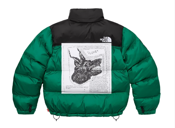 Supreme The North Face Nuptse Jacket 2024 FW Week9 Red Green Black ...