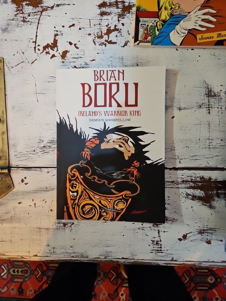 Brian Boru Ireland’s Warrior King Graphic Novel Damien Goodfellow O ...