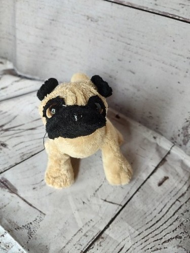 Ganz Webkinz Lil Kinz Pug Plush 6" Stuffed Animal Dog Toy No Code | eBay