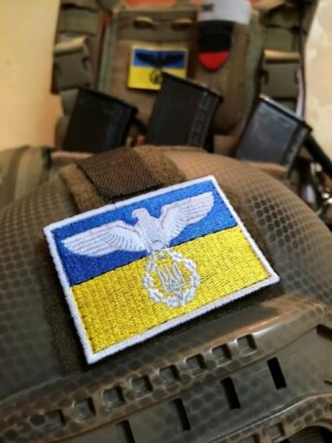 Embroidered military tactical army morale patch "Roman eagle with ...