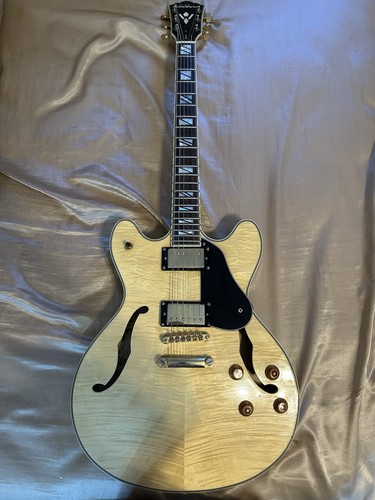 Washburn Hb-35 Nk Semi Hollow Bodyustic Electric Guitar Flame Maple ...