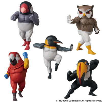 Gachic Bird Battle Muscle Bird Gachimuchi Part 4 All 5 type set Capsule ...