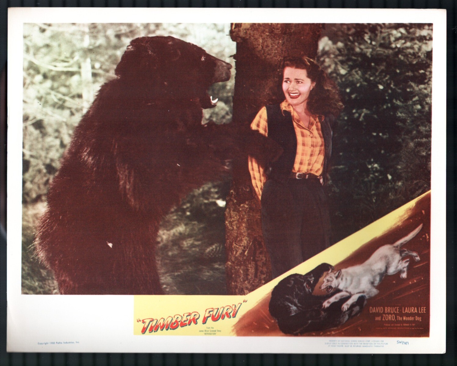 Lobby Card: Timber Fury 11"x14" Lobby Card Sam Flint Laura Lee Zorro ...