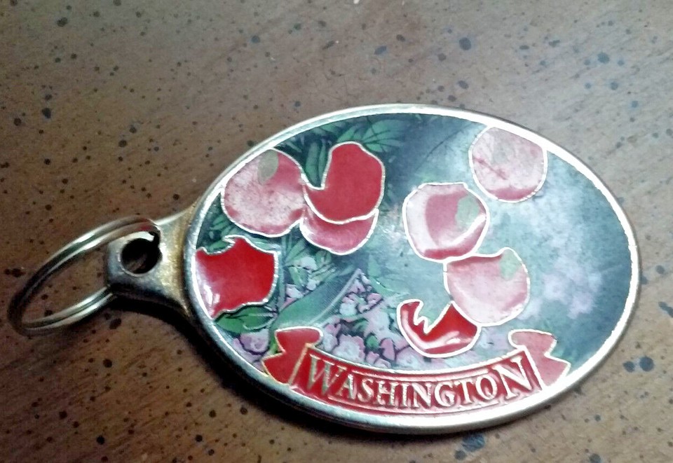 Washington State Key Ring Apples And Apple Blossoms 2 1/4" x 1 1/2" | eBay