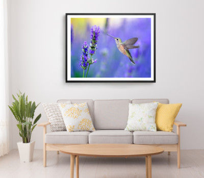 Humming Bird Print, Flowers Wall Art, Nature Framed Floral Wall Art ...