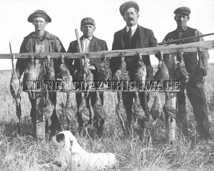 ANTIQUE REPRINT 8X10 HUNTING PHOTOGRAPH HUNTER'S PRAIRIE CHICKENS BIRD ...