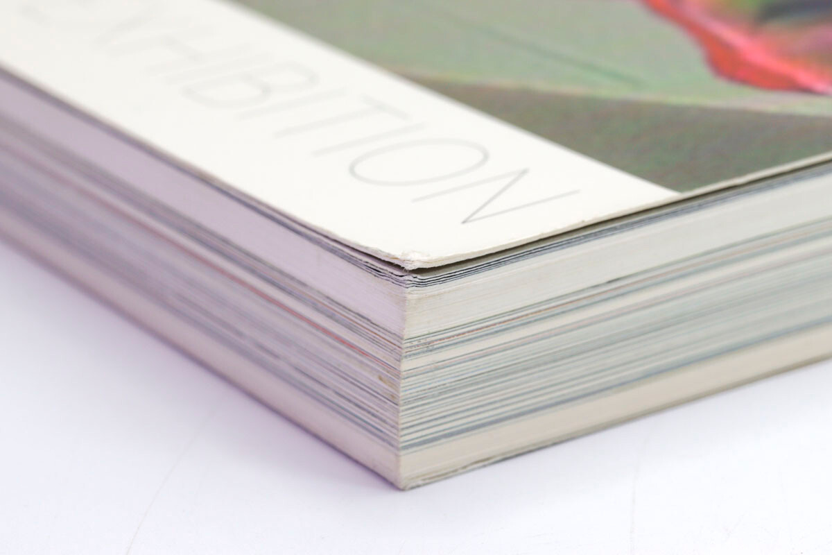 1995 Biennial Exhibition : Whitney Museum of American Art by Klaus ...