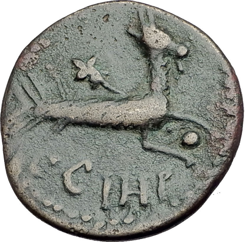 ELAGABALUS 218AD Genuine Parion Parium Mysia Ancient Roman Coin ...