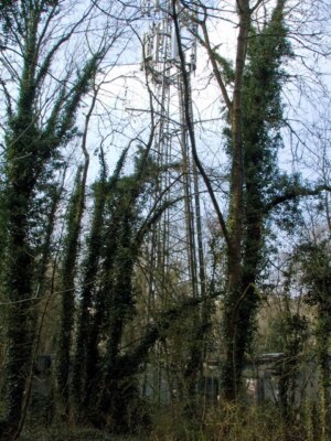 Photo 6x4 Communications Mast, Ironbridge Hidden away in woods by the ...