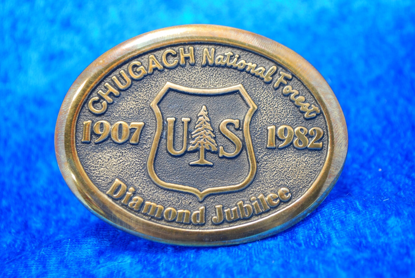 ~Forest Service Bronze Belt Buckle Chugach National F… - Gem