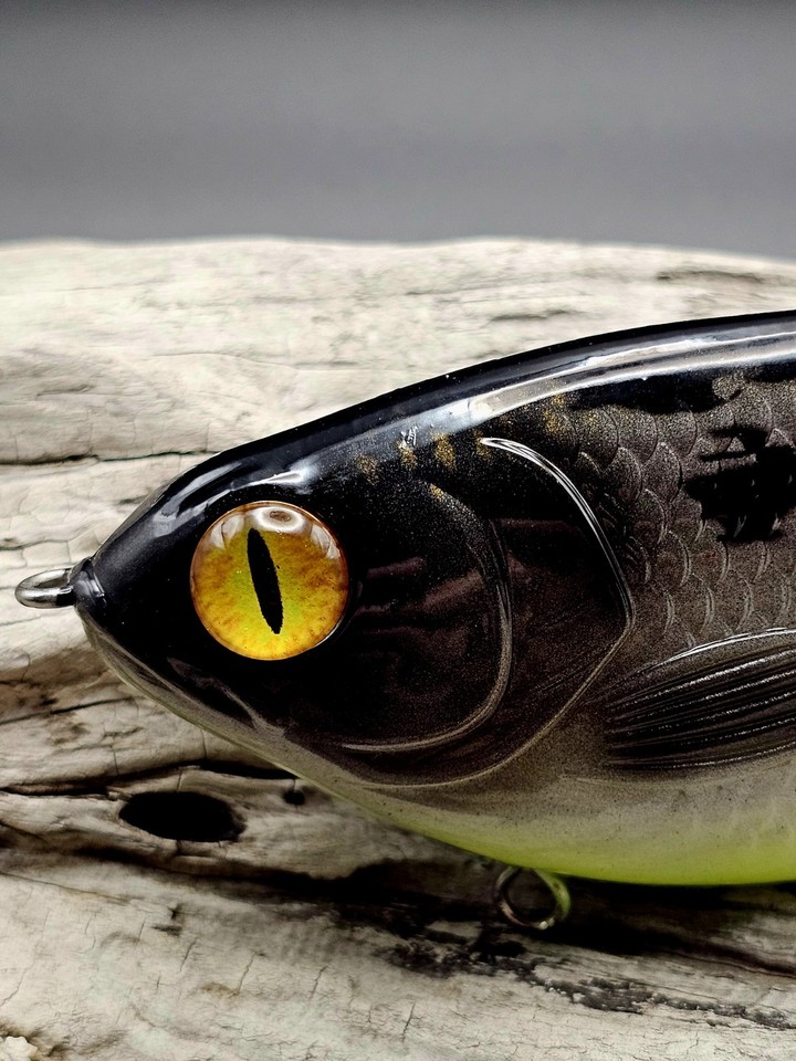 7 Inch Swimbait Glide Bait Custom Painted, Slow Sink Muskie Bass ...