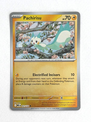 Pokémon TCG Pachirisu 051/132 Reverse Holo Common ME01: Mega Evolution ...