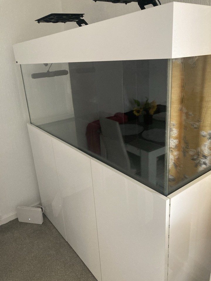 5ft Marine Fish Tank With Equipment | eBay UK