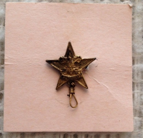 Boy Scouts of America Vintage Star Scout Pin | eBay