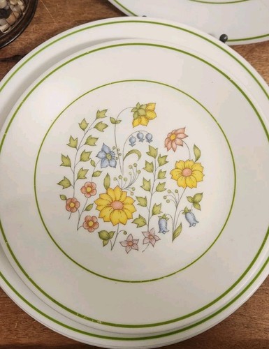 24pc Corelle SPRING MEADOW Wildflower 6 Dinner, 6 Lunch Plates, 6 Cups ...