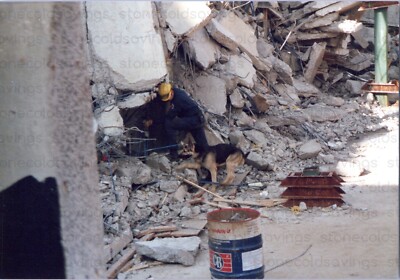 VTG FOUND PHOTO - 1990S - CONSTRUCTION CREW SEARCH RESCUE DISASTER ...