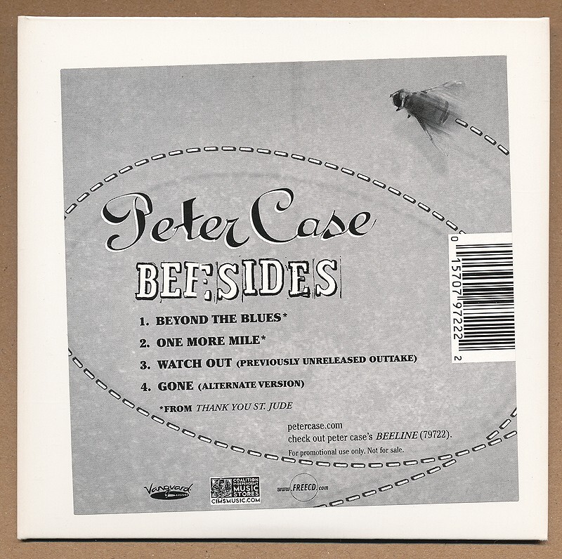 Peter Case - Beesides RARE promo CD EP '02 | eBay