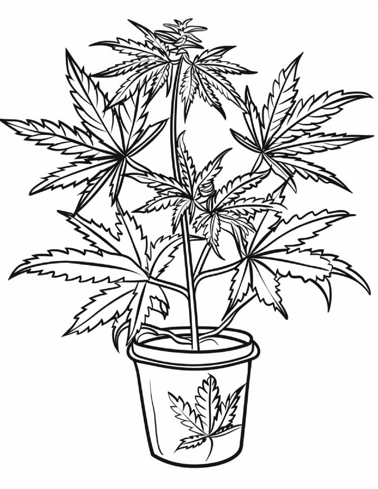Stoners 3 Coloring Book | Trippy, far out fun | eBay