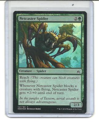 Netcaster Spider - Foil - Oath of the Gatewatch - Magic the Gathering ...