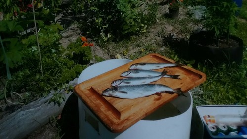 Calcutta C6FILE File Hook Hone Channel 120/240 Grit for sale online ...