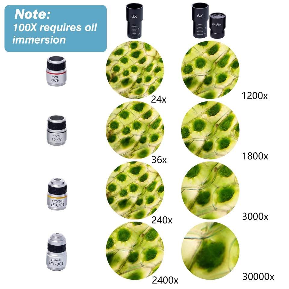 SELFIE CAT Laboratory Microscope for School, Binocular Compound ...