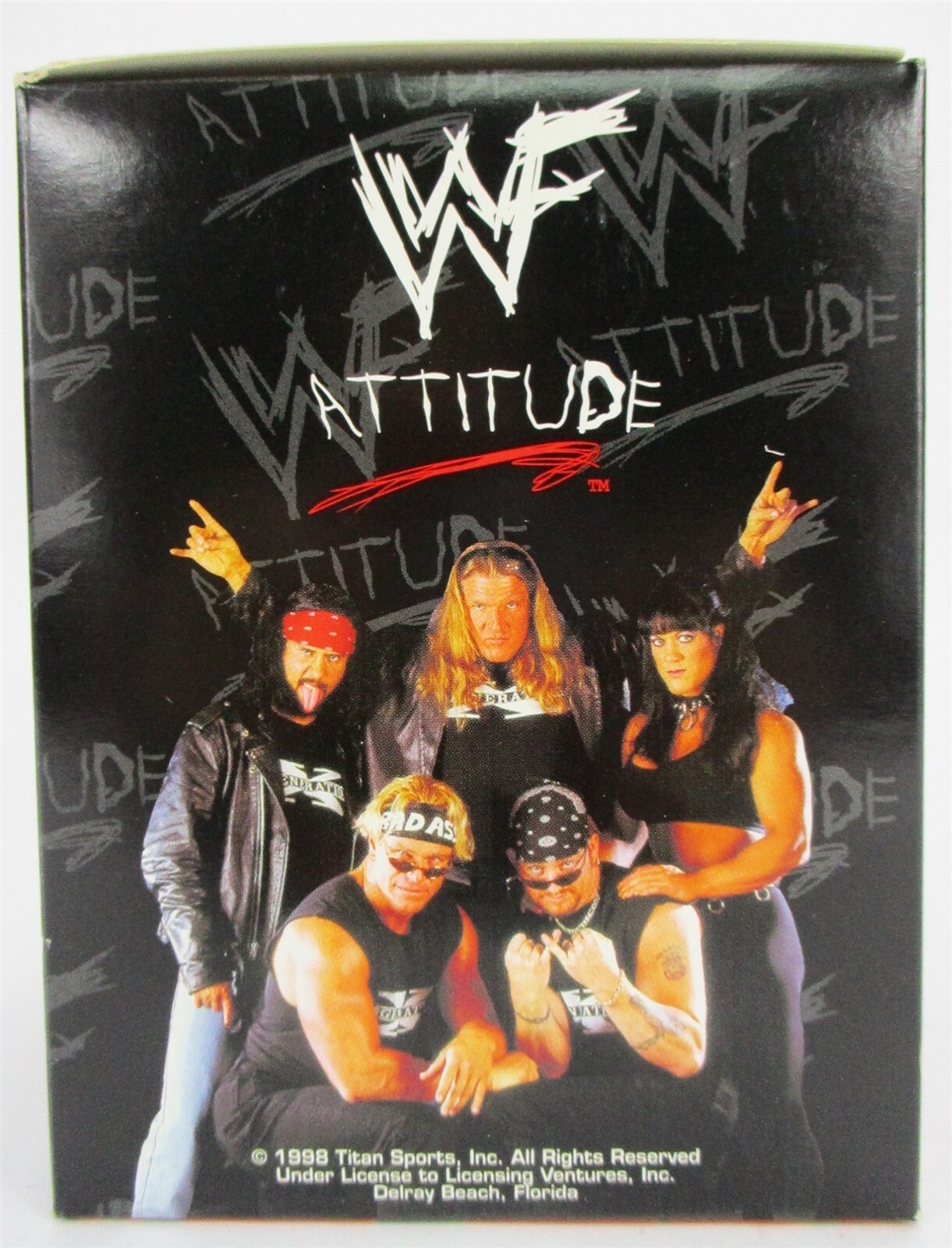 WWF SABLE Holiday Ornament Glass Ball World Wrestling Federation ...