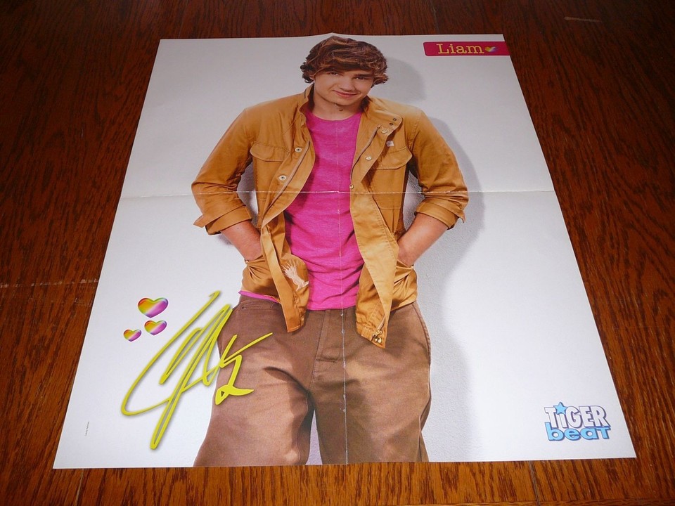 Louis Tomlinson poster Liam Payne centerfold photo One Direction 1D ...